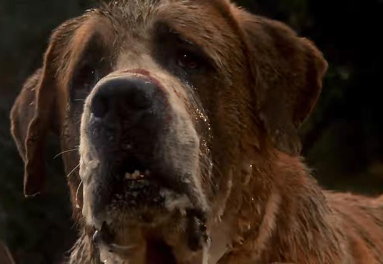 Remake of Stephen King's 'Cujo' Coming to Netflix