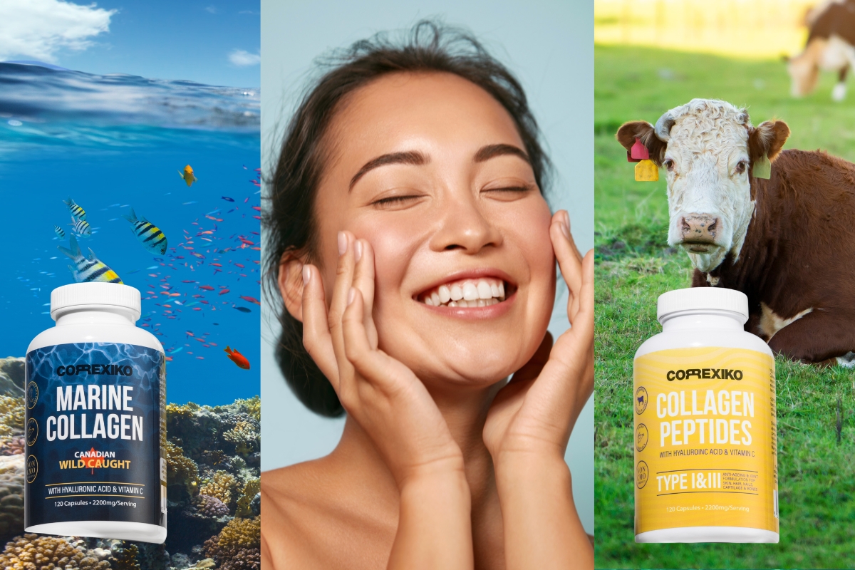 Exploring Marine Collagen: Is It Worth the Hype?