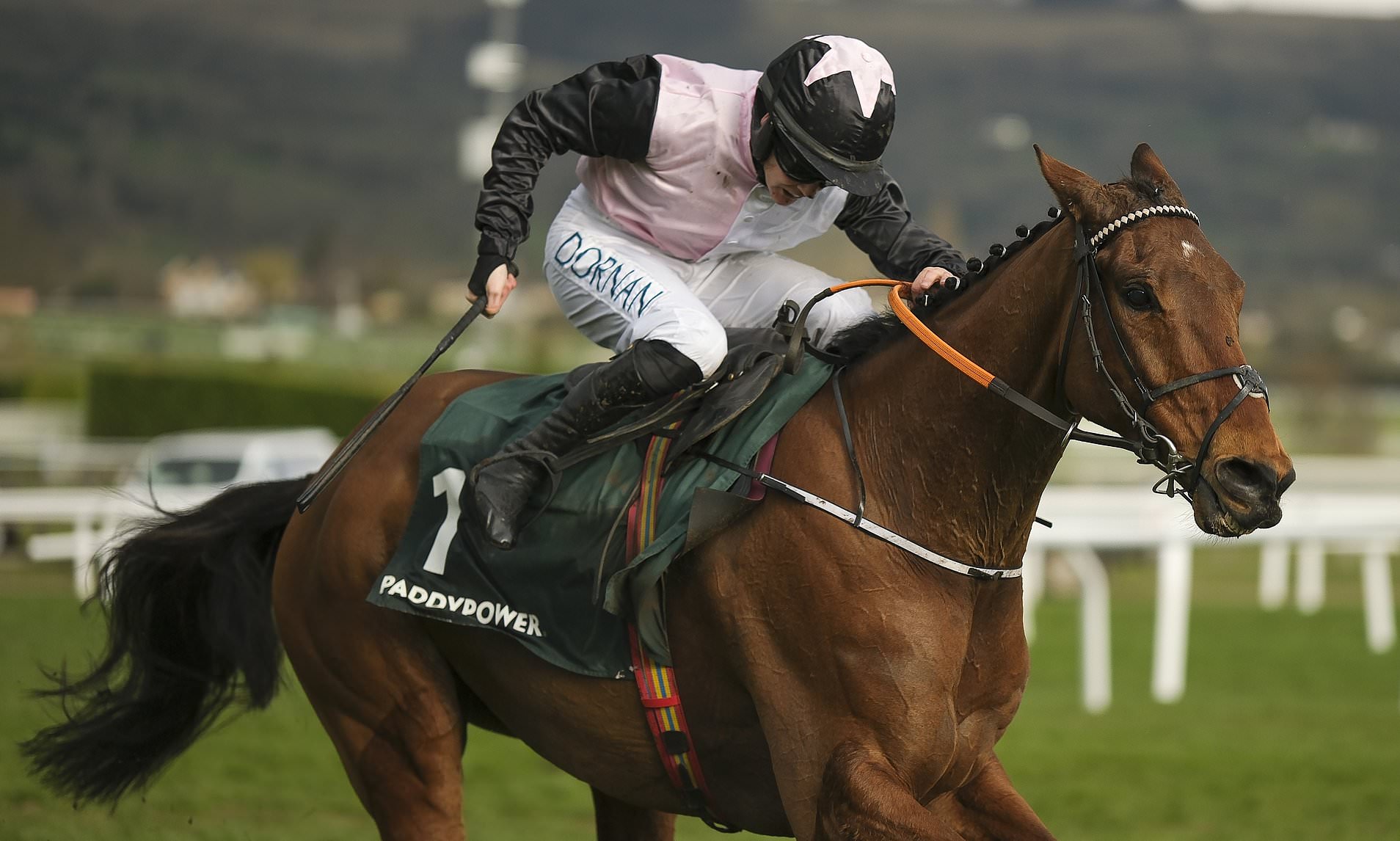 Robin Goodfellow's racing tips: Best bets for Friday, March 14