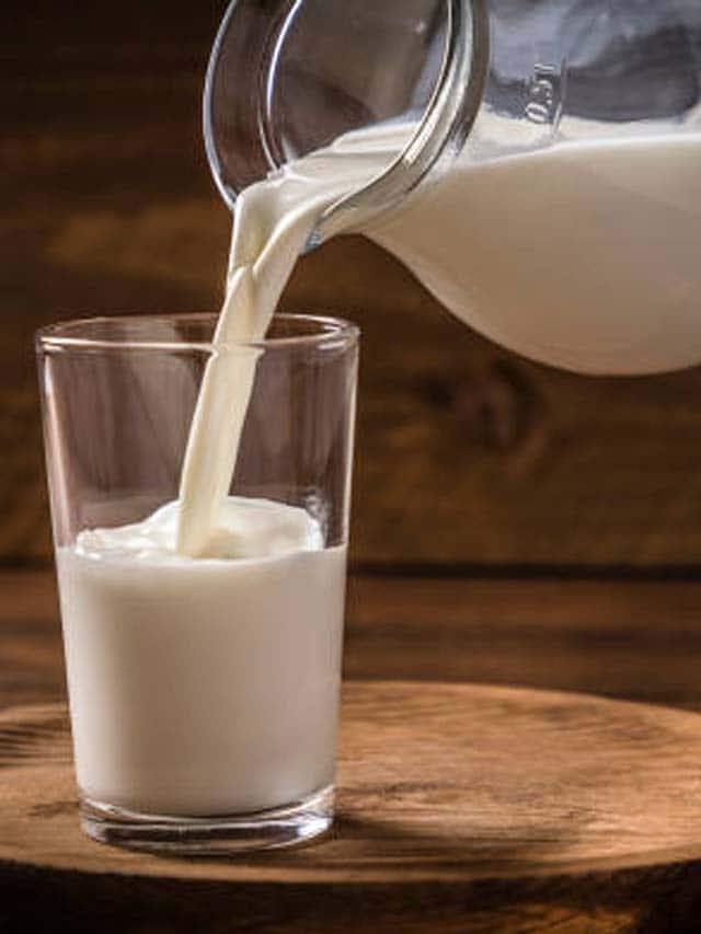 What is Cockroach milk? 5 Health benefits of new age superfood