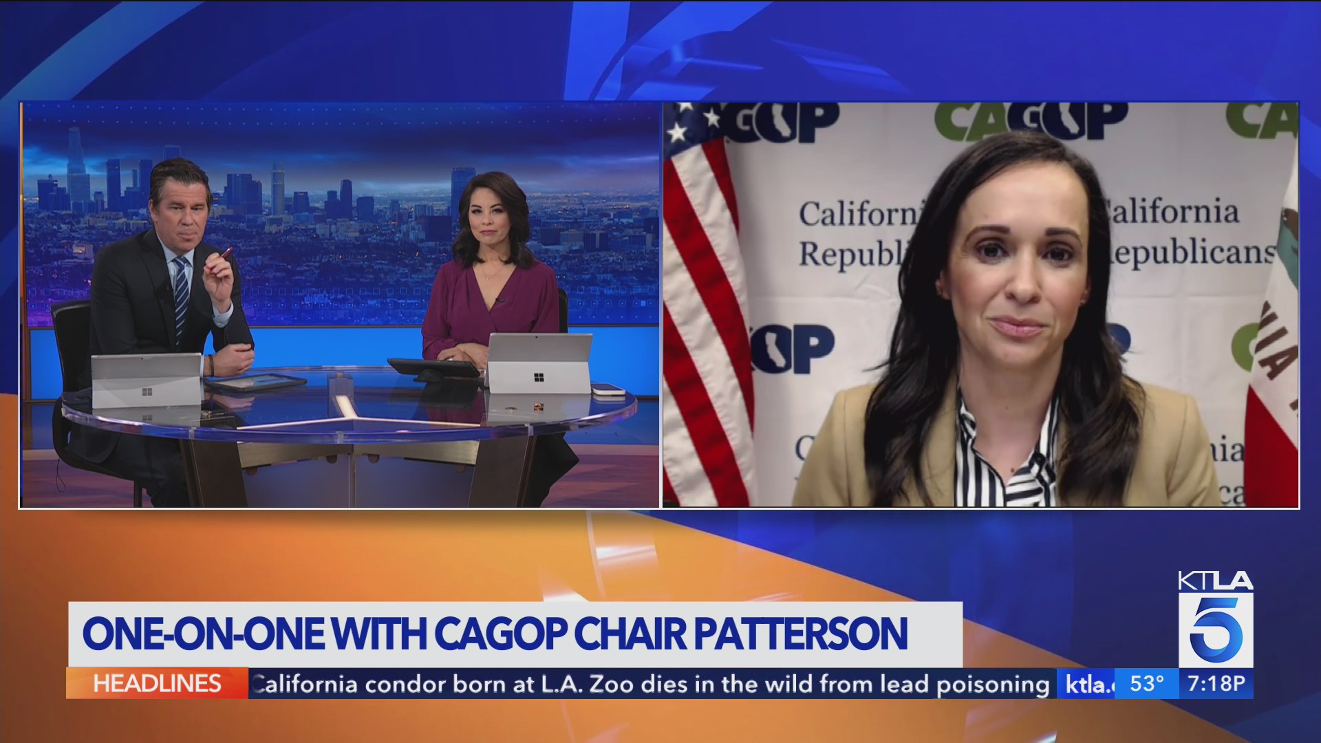 CAGOP Chair Jessica Millan Patterson on the Golden State, President ...