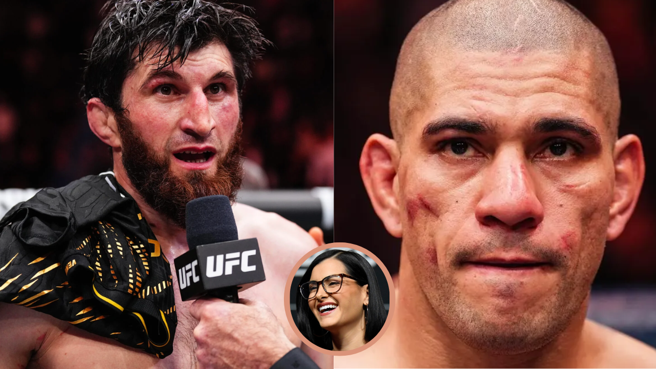 Alex Pereira’s Loss to Magomed Ankalaev Sparks Response From UFC ...