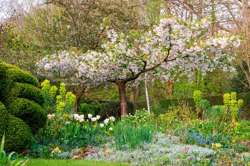 Barnsdale Garden Centre's themed gardens - in pictures