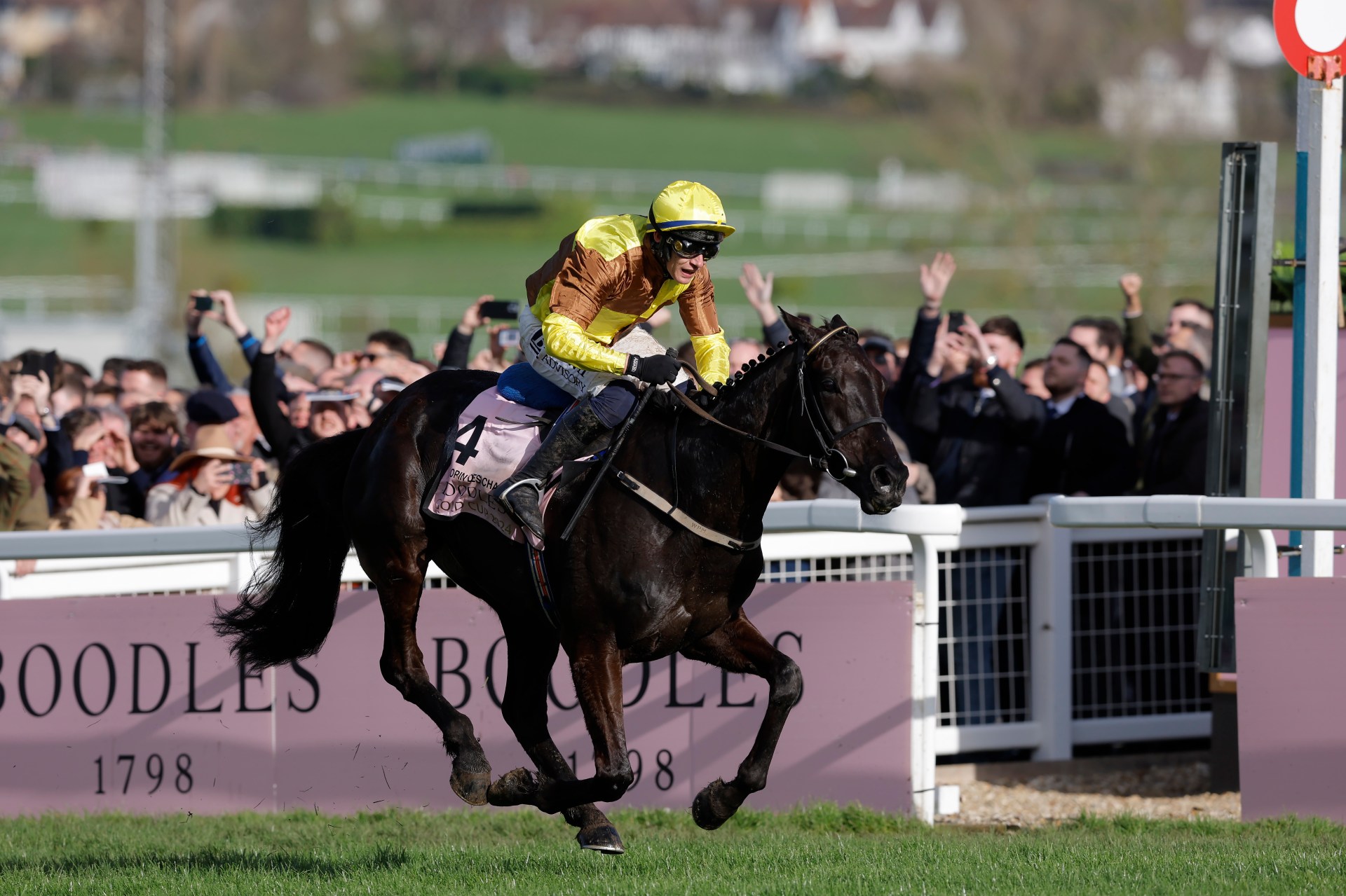 Cheltenham Festival 2025: Day 4 race card, Gold Cup betting tips and odds