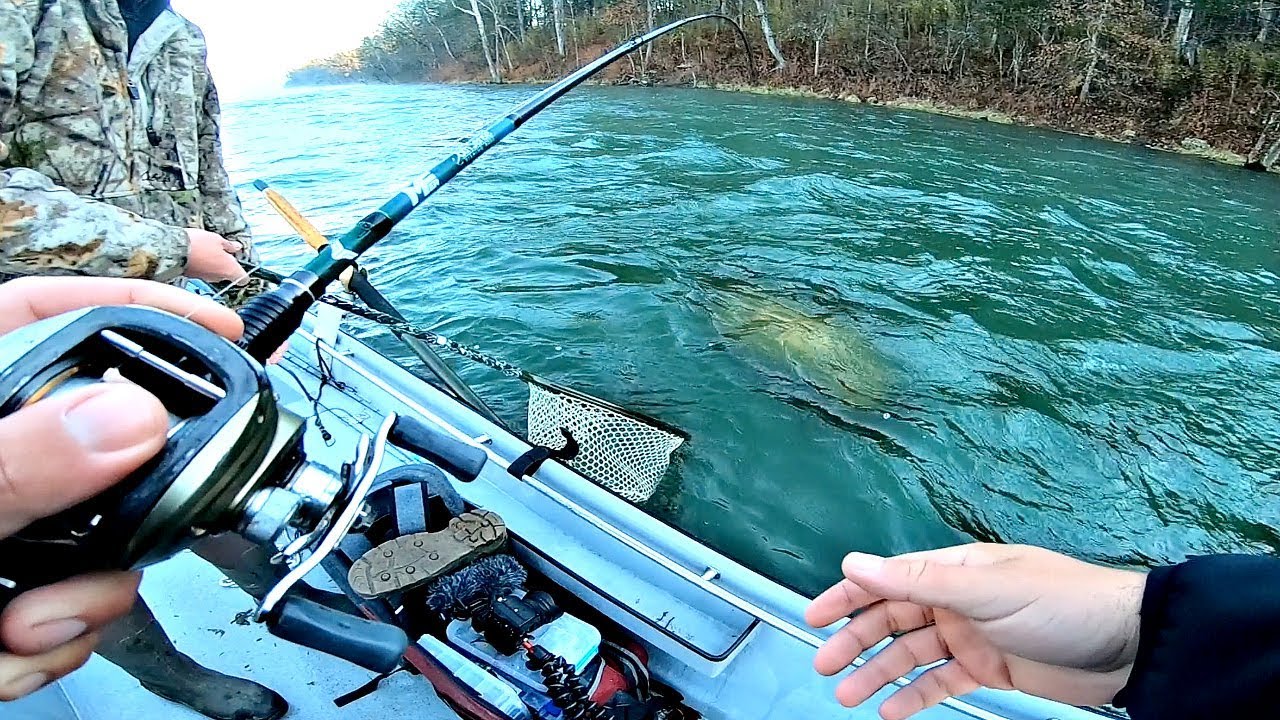 Rare giant personal best caught in insane river rapids