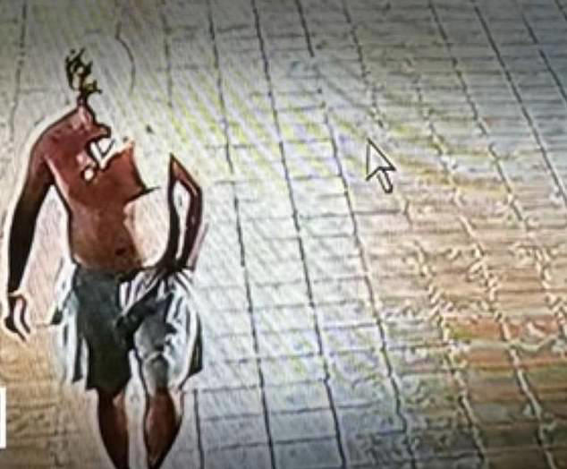 Joshua Riibe claims he tried to save Sudiksha Konanki from drowning