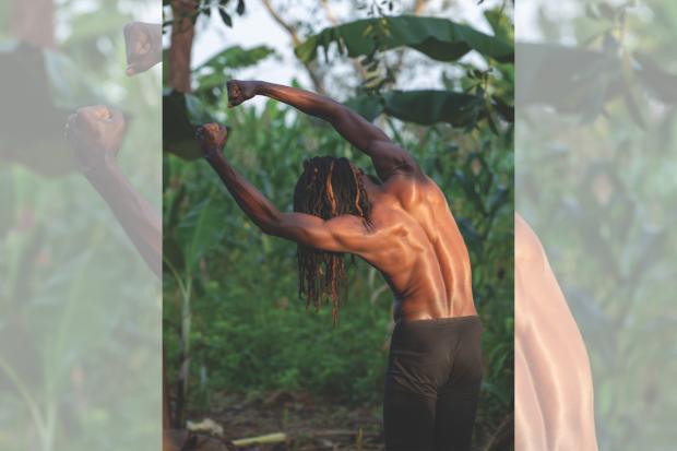 Dance performance to showcase cultural importance of Ugandan tree