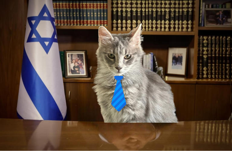 Purim Shpiel: Israel Katz revealed to be three cats in a trench coat