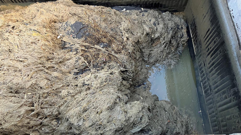 Fatberg weighing 30 tonnes hauled from Perth's sewers, setting a record