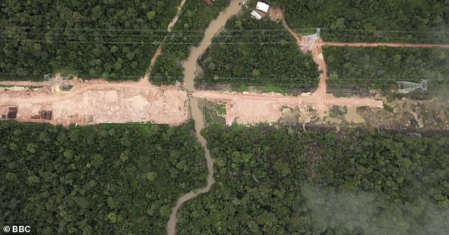 VIP highway cut through the Amazon reveals staggering COP hypocrisy