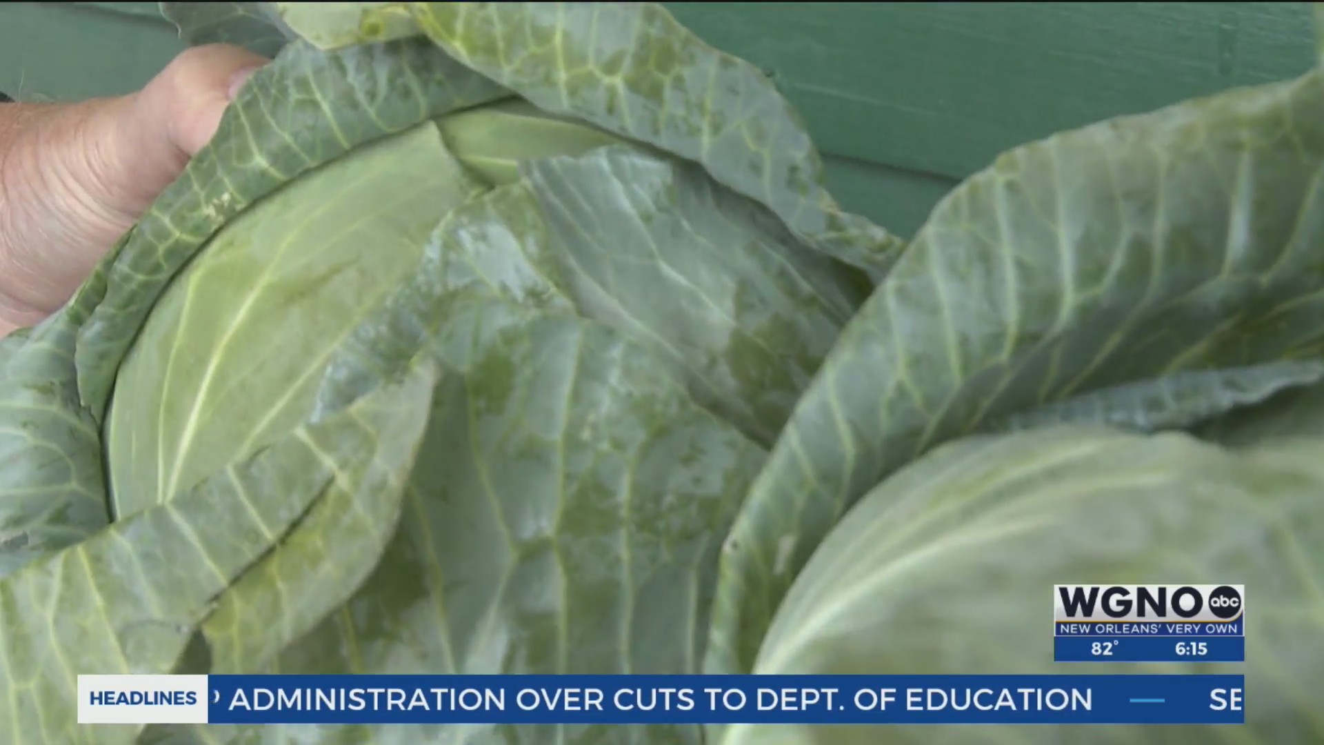 Cabbage prices up 8% for St. Patrick's Day