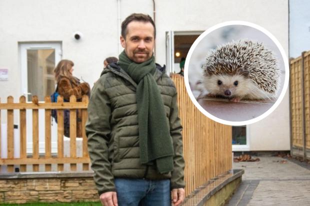Call for 'Hedgehog Highways' to be created across Southend to boost ...