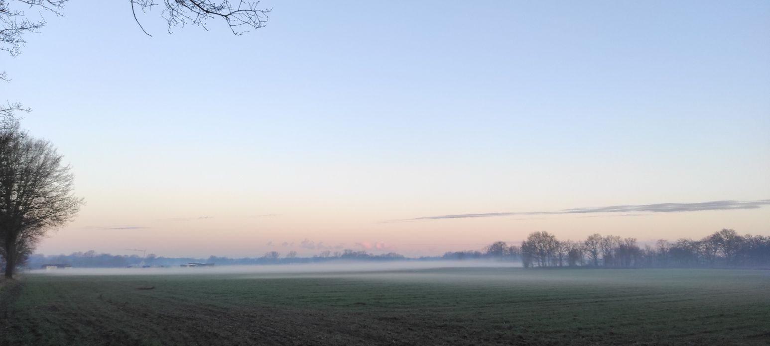 Weerman Samuel: "In de loop van volgende week opnieuw lente!"