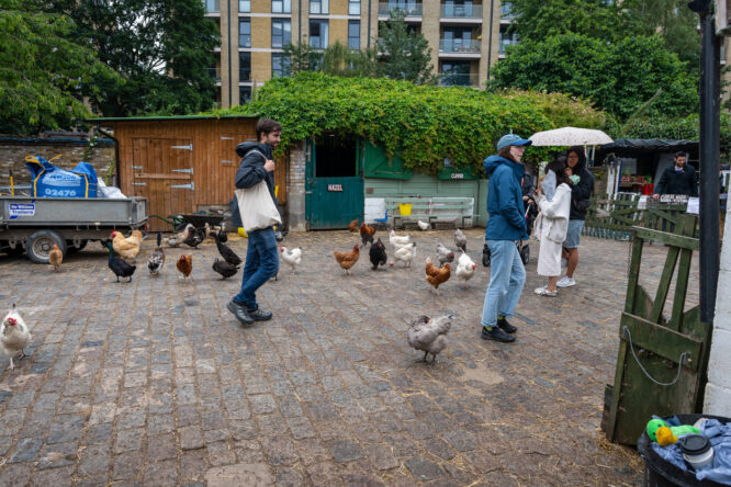 10 City Farms To Visit In The UK