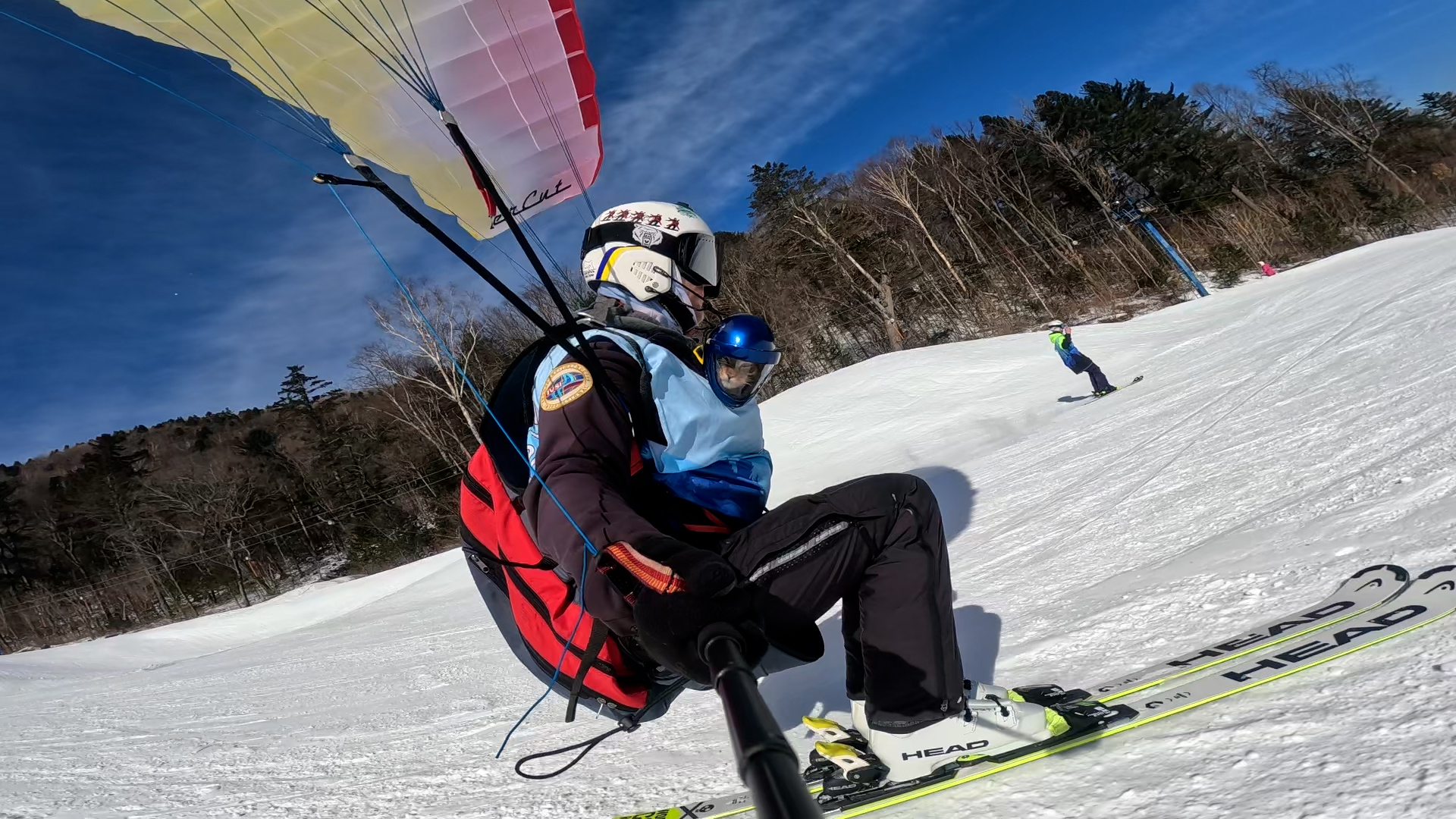 Un chat saute en parachute avec son maître