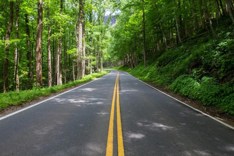 Raleigh to Great Smoky Mountains National Park: The Ultimate Road Trip ...