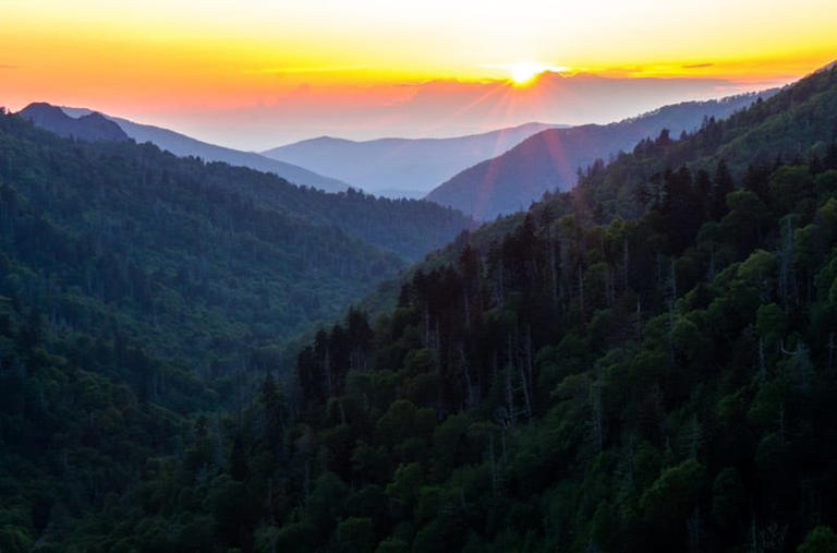 Raleigh to Great Smoky Mountains National Park: The Ultimate Road Trip ...