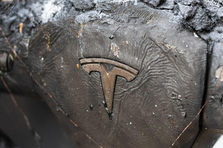 Four Teslas set on fire across Berlin as anti-Musk protest escalates