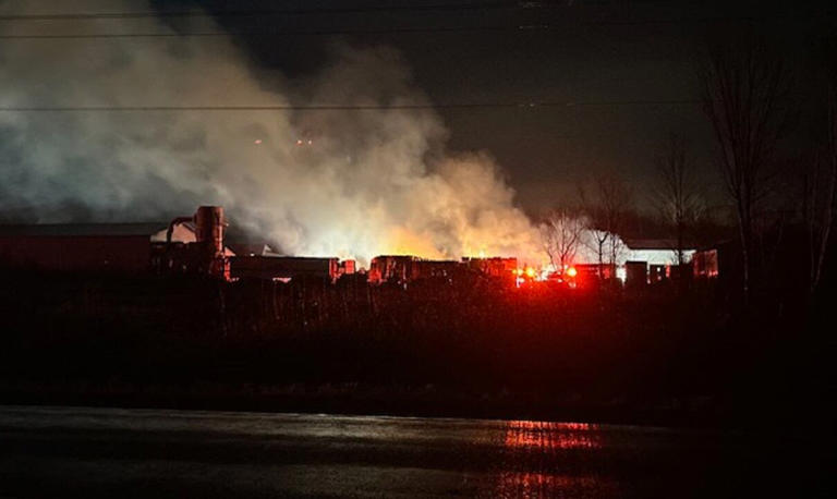 Cause of fire at Wood County pallet company under investigation