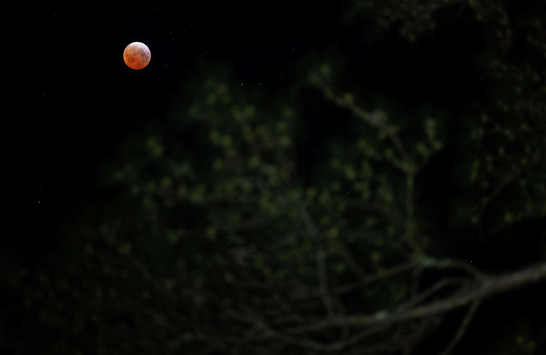 Total lunar eclipse shines eerie red in night sky: See photos of rare ...