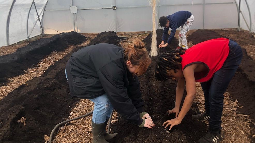 Unity Gardens starts new gardening program for kids