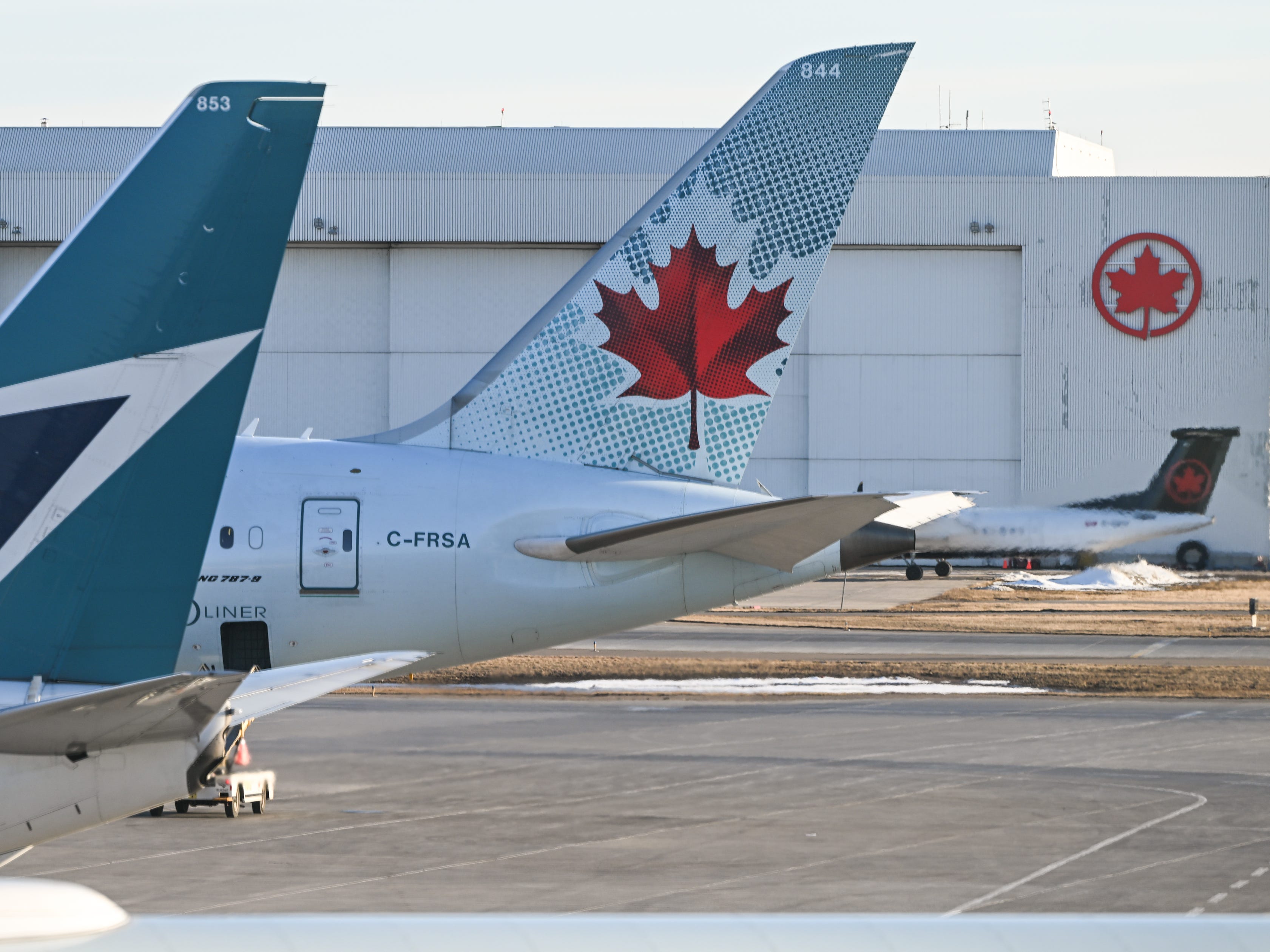 Canadians were urged to boycott travel to the US in response to tariffs ...