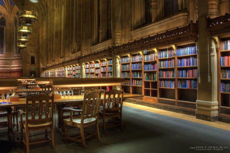 Discover These 15 Enchanting Libraries Sure to Thrill Any Book Lover