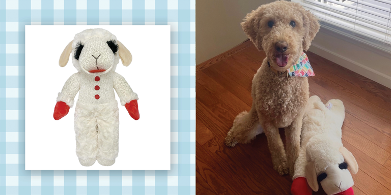 A Complete History of the Viral Lamb Chop Dog Toy