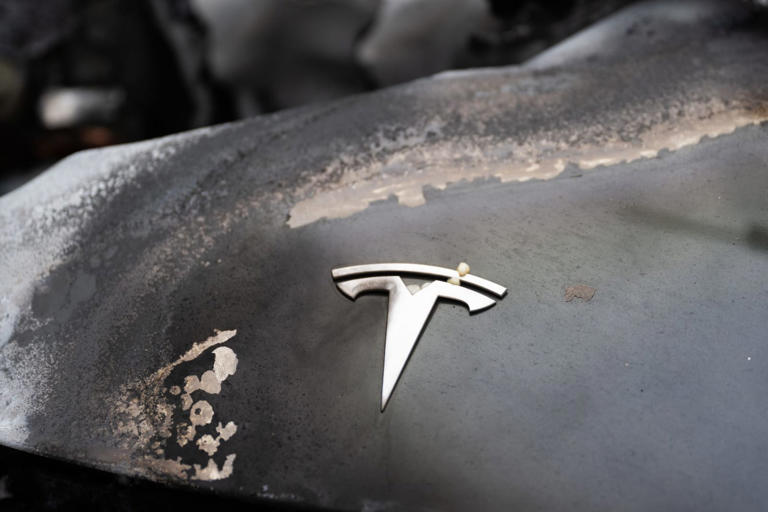 Four Teslas burnt out in Berlin - police launch probe