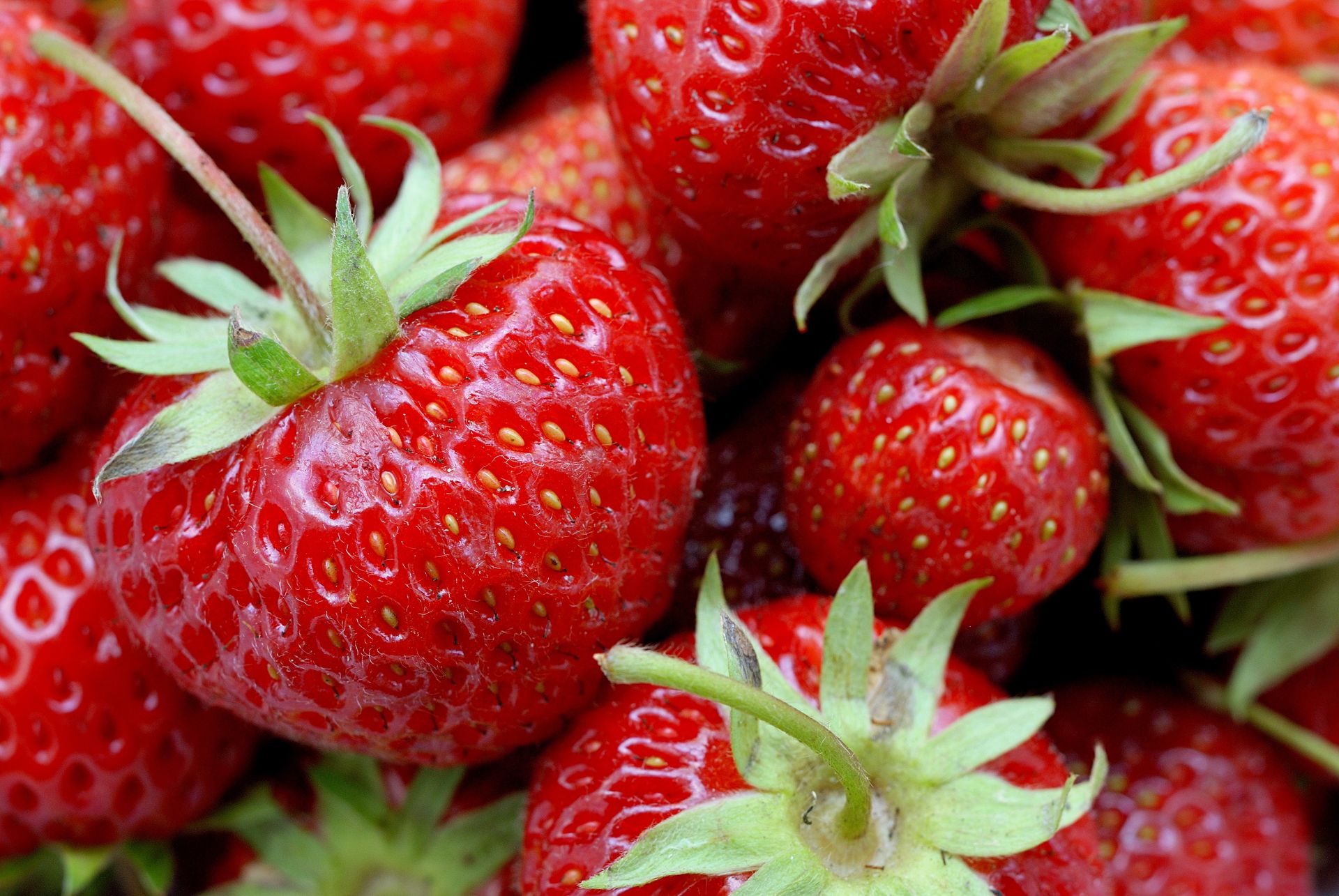 Polski owoc na drugim miejscu na świecie. To ogromne wyróżnienie