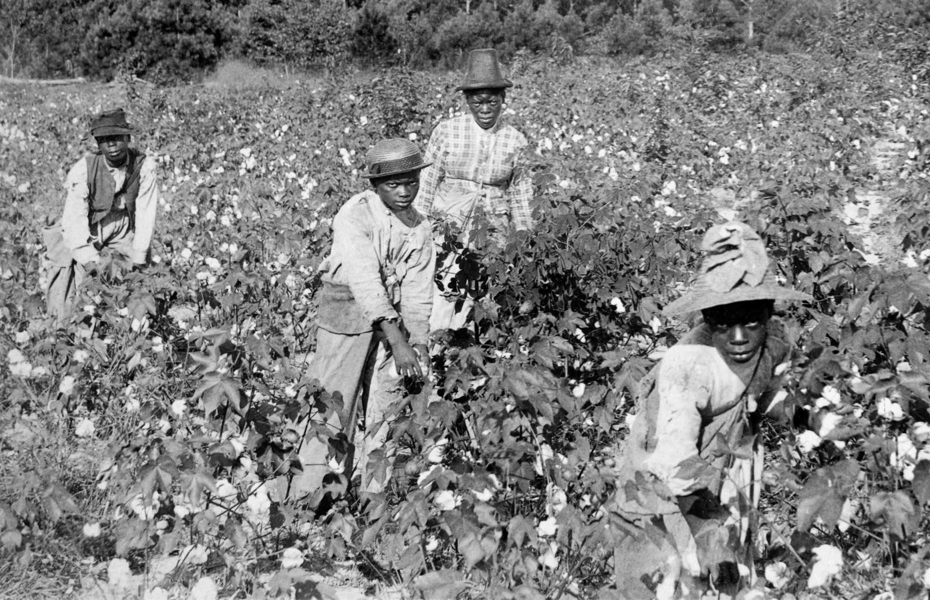 The rags-to-riches story of America's first self-made female millionaire