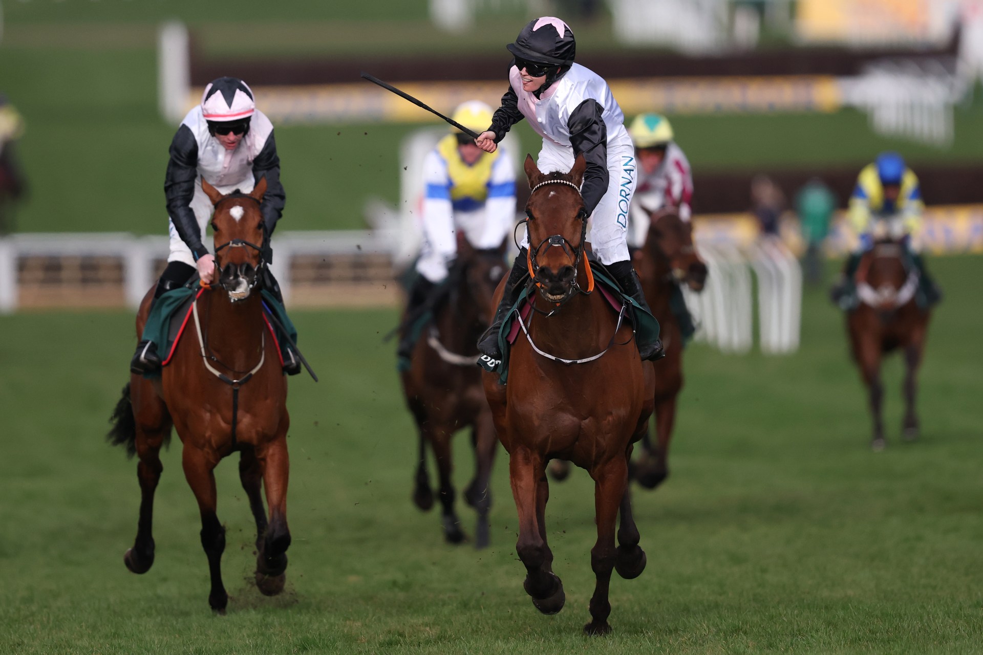 What is the Cheltenham Festival 2025 prize money for the Gold Cup? Race ...