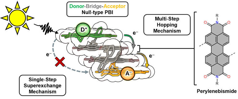 Artificial photosynthesis: Chemists develop dye stack that mimics plant ...