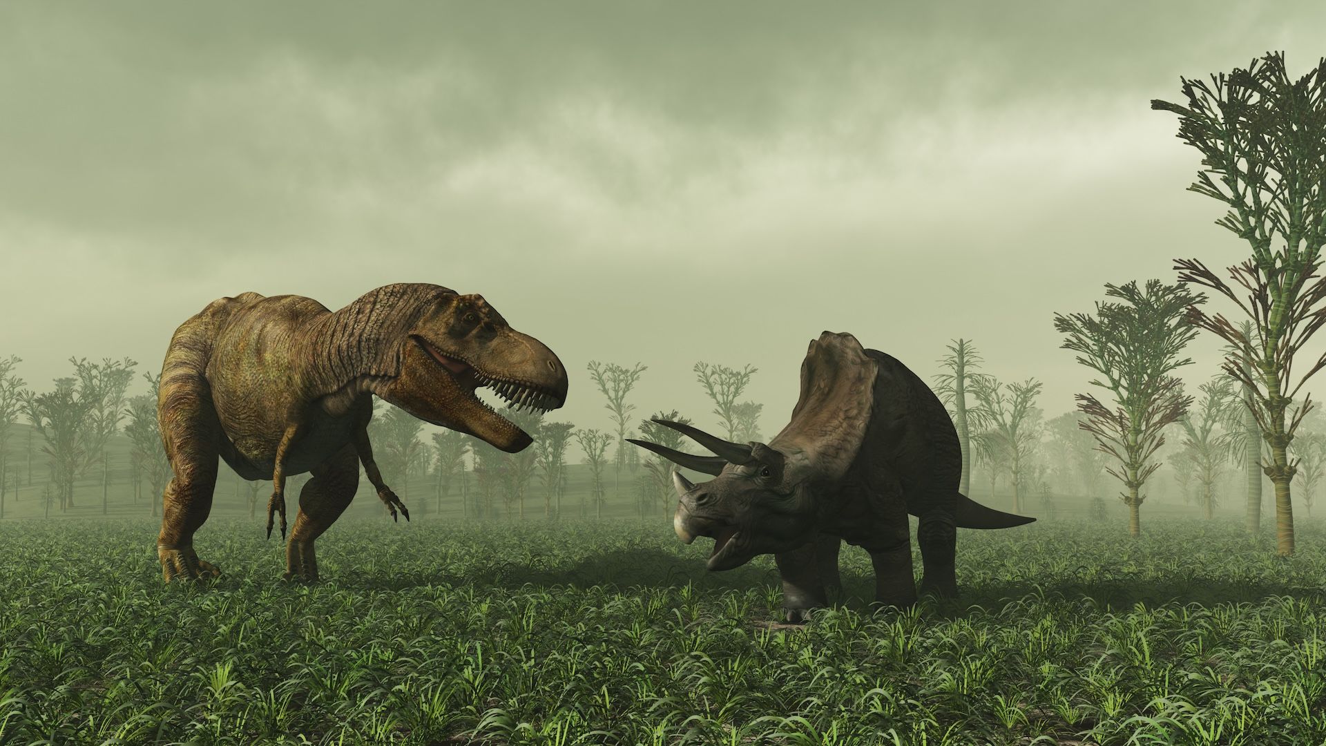 Dinosaurs: Facts about the reptiles that roamed Earth more than 66 ...