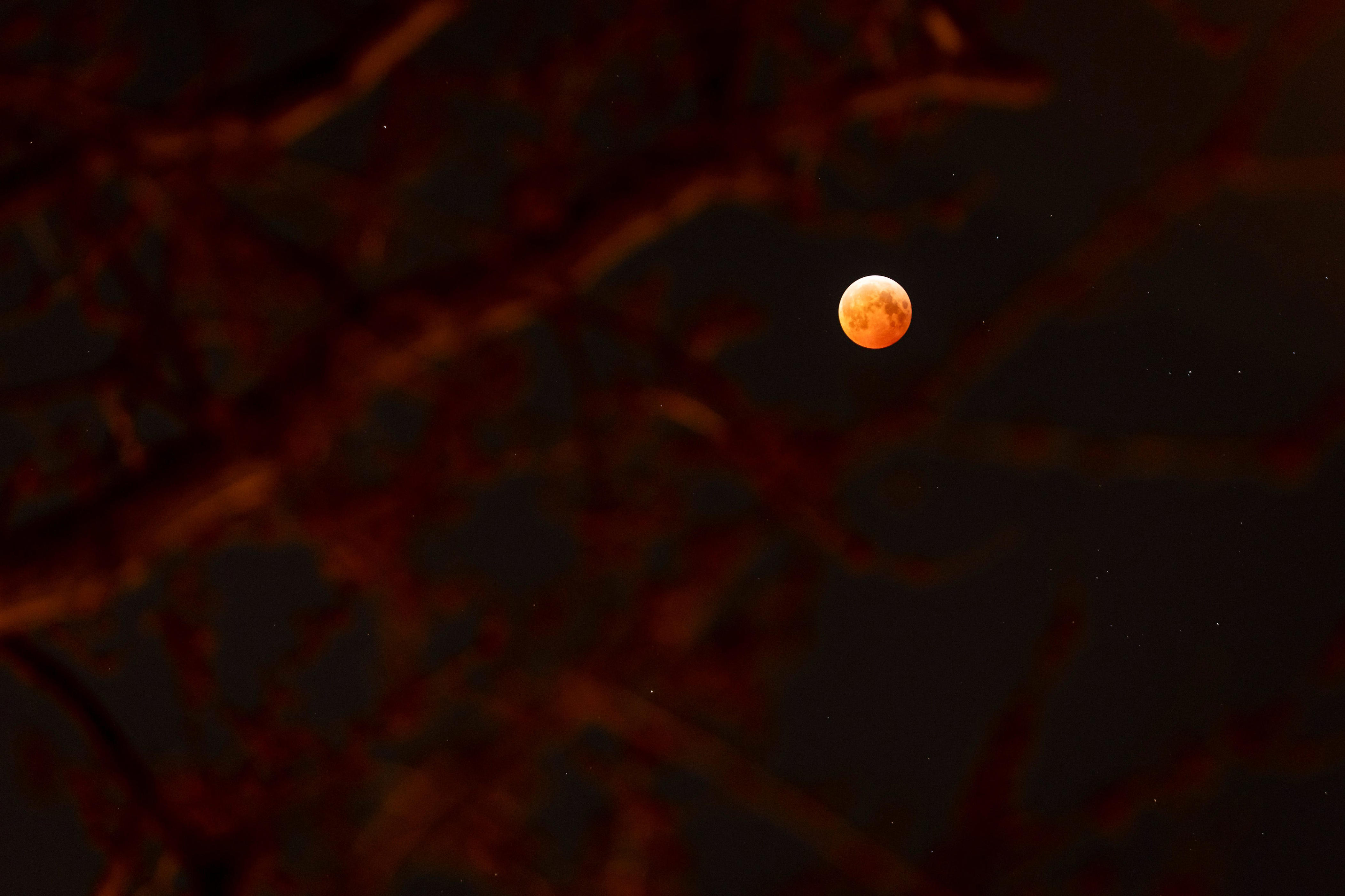 A total lunar eclipse is coming in 2026. Here's when