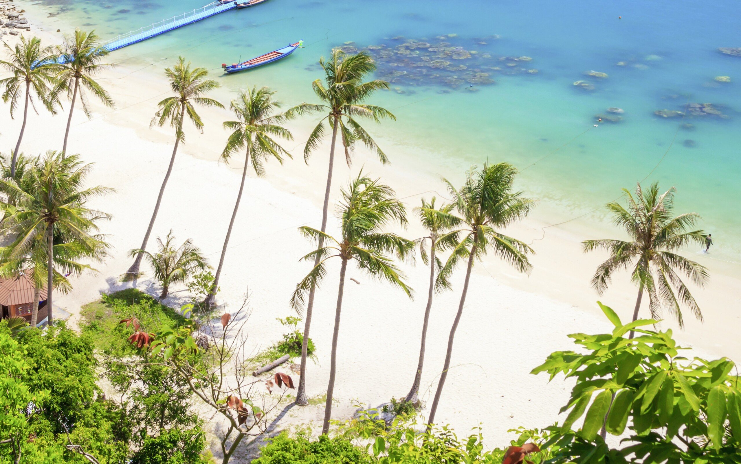 Tämä on ensi talven hittikohde – matkavaraukset kipusivat 50 prosenttia