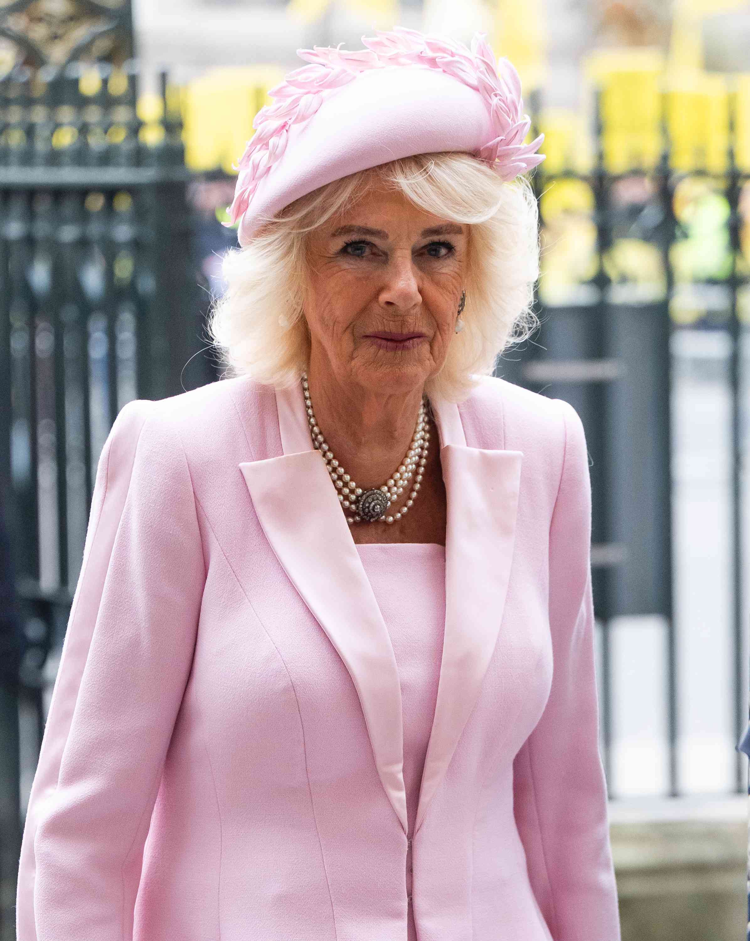 Royal Aide Shares How Queen Camilla Felt Balancing Royal Duties and the ...
