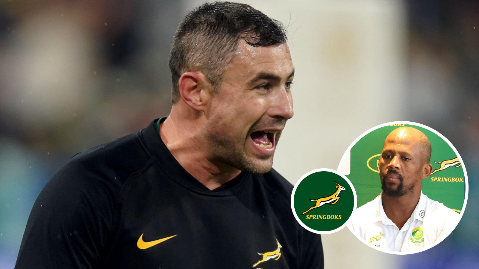Springboks coach hails ‘dedicated’ Felix Jones and his ‘valuable ...