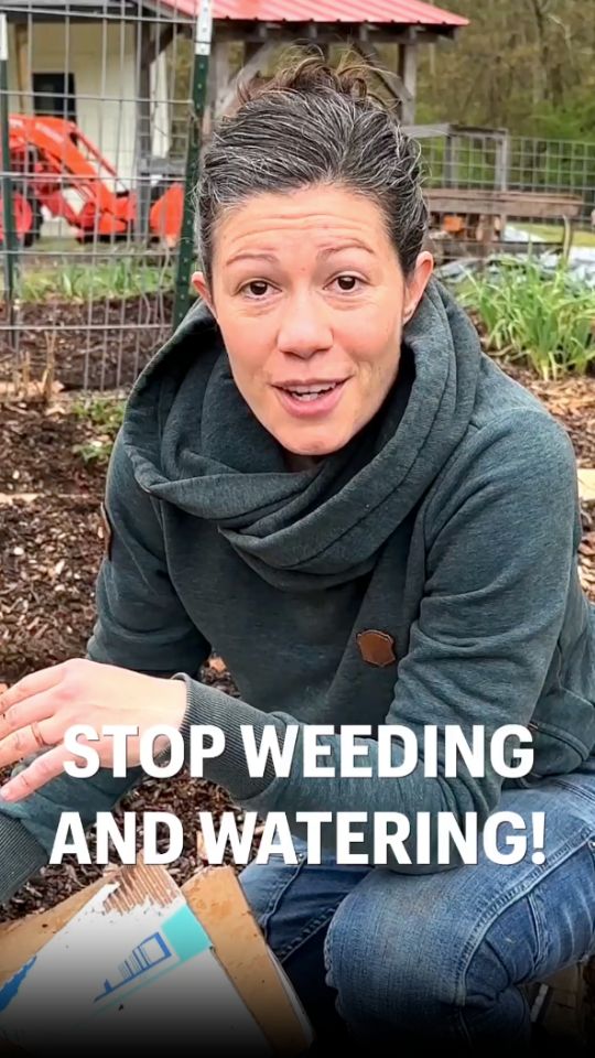 No more weeding or watering your garden!