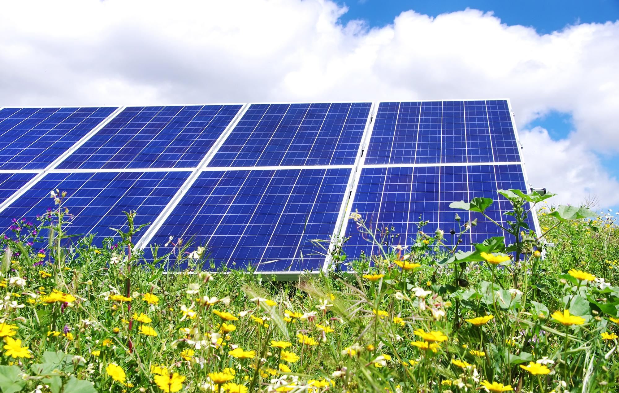 Rally against solar farms planned for Lincoln city centre