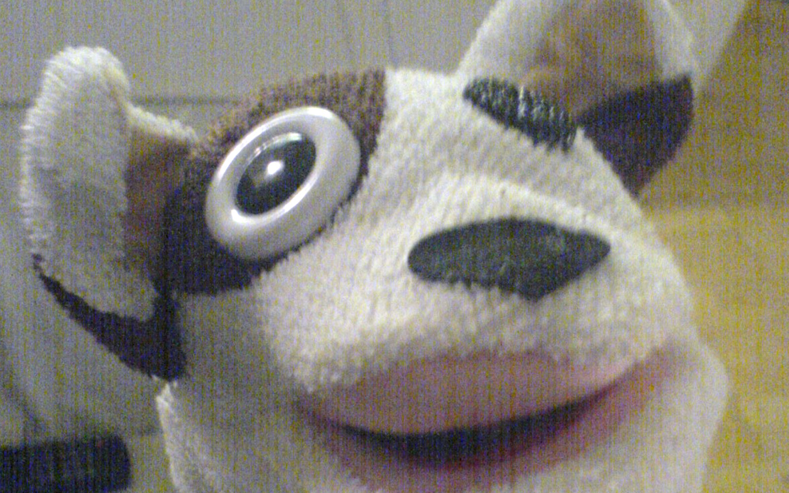 It's 25 years since the dot com bubble burst