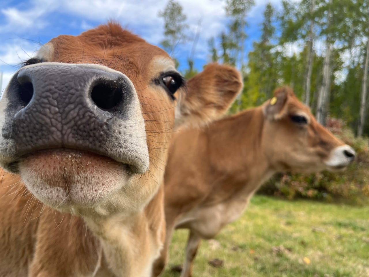 Keeseekoose First Nation holds financial planning workshop ahead of ...