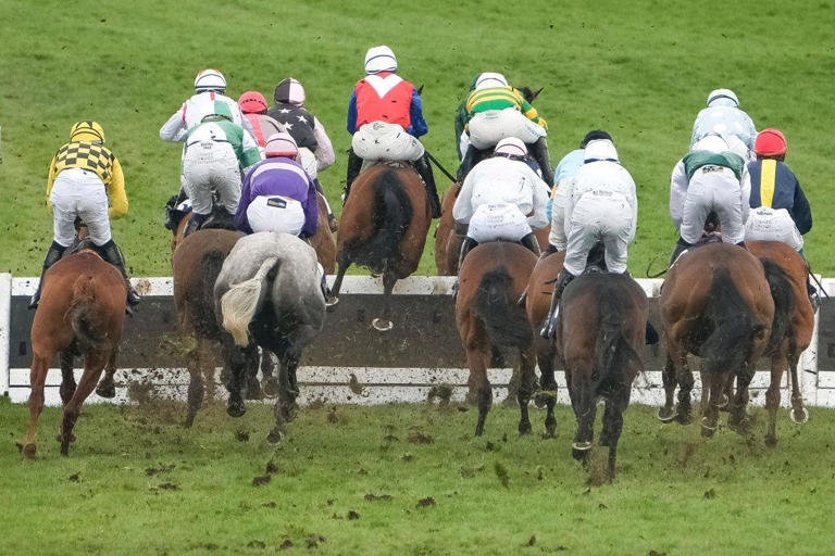 Cheltenham Gold Cup Rich List 2025: Here are the 15 richest race horse ...