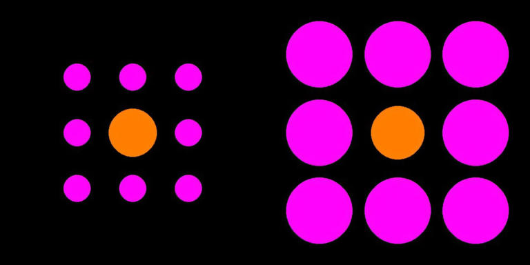 Medical imaging experts better at solving optical illusions—study shows ...