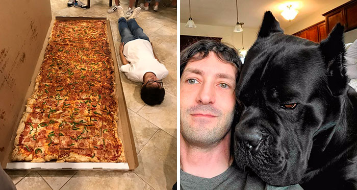 46 Interesting Comparison Images That Will Give You A New Perspective ...