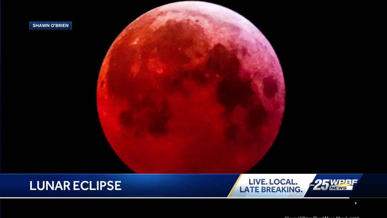 WATCH: Viewers share total lunar eclipse photos as 'blood moon' fills ...
