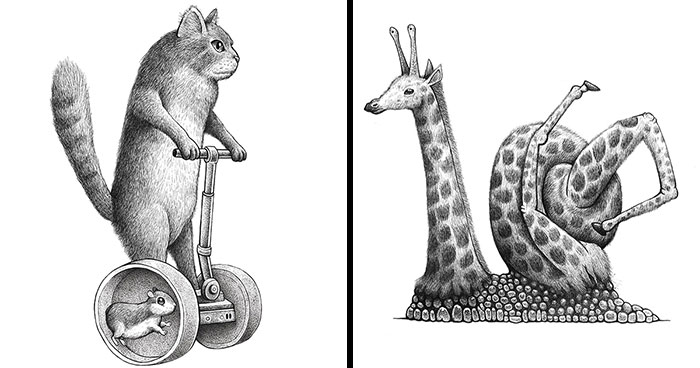 27 Nonsensical Scientific Illustrations Of Wildlife By Tim Andraka