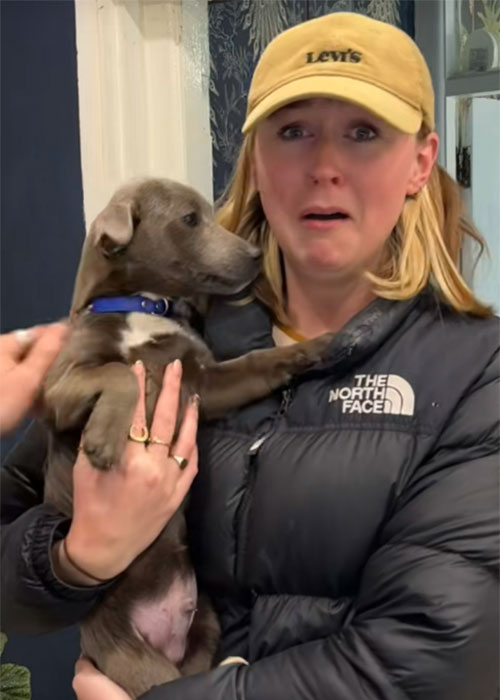 WATCH: Irish influencer Éadaoin Fitzmaurice in tears as boyfriend ...