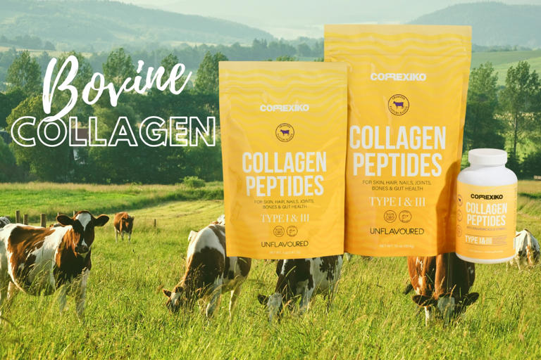 Marine Collagen vs. Bovine Collagen: Which is Better?