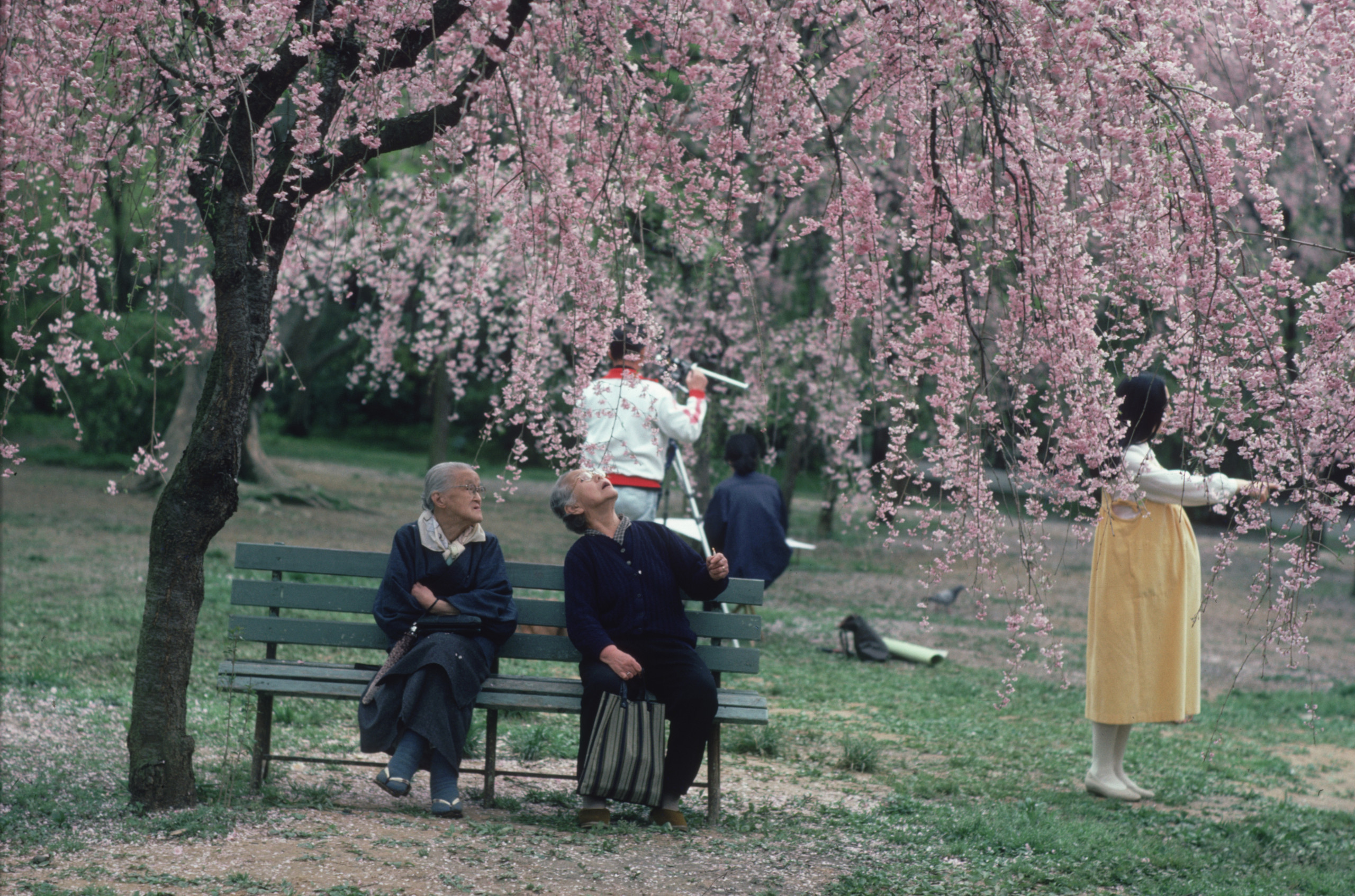 Places where you can live to 100 in good health